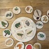 Animal and Continent Wheels Continents Wheels and Toys - Etsy