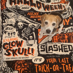 Sideshow Banner Electra - Etsy