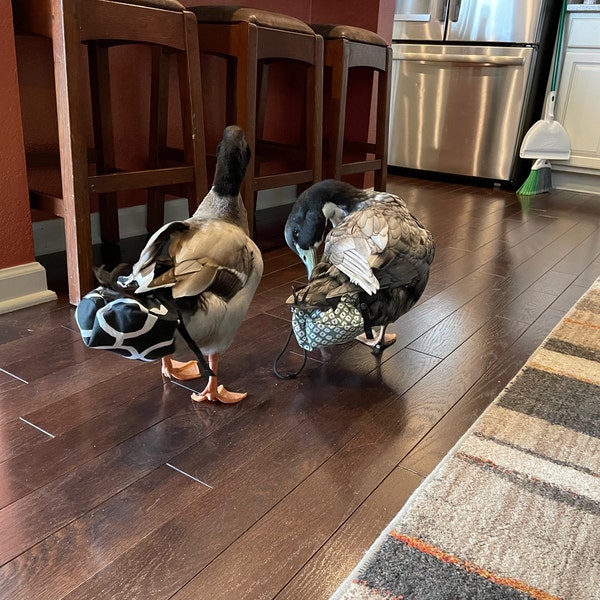 High Quality ORIGINAL - Duck Chicken Goose Diaper Harness - Adjustable ...