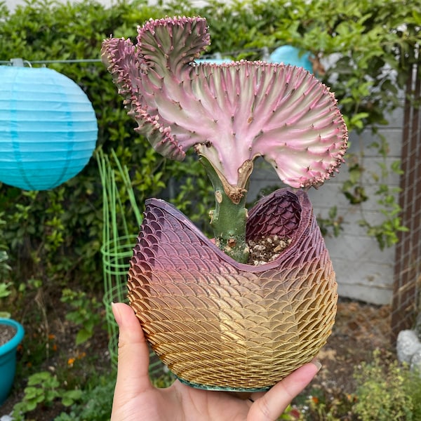 3D Printed Mermaid Tail Planter - Etsy