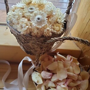 1 Litre of Memorial Funeral Petals Biodegradable Freeze | Etsy