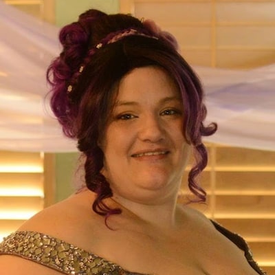 Raya, Fish Braided Low Updo Lace Front Wig, Synthetic Custom Wig ...