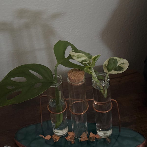 Day & Night Time Sees All Painting - Hand Painted by Mackenzie Ganey - Etsy