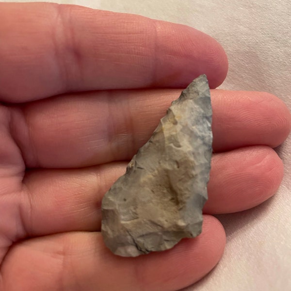 Shell Scoop, Rock Hunt Scoop, Shark Tooth Sifter, Sand Scoop, Rock ...