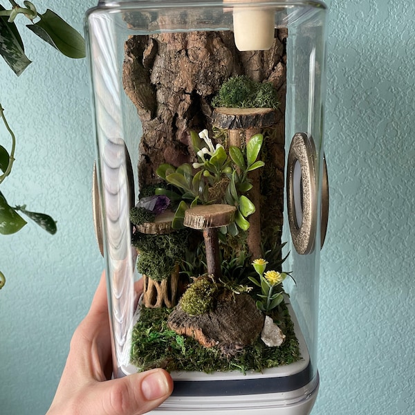 Jumping Spider Enclosure 5x5x9 Spider House, Spider Tank, Spider ...