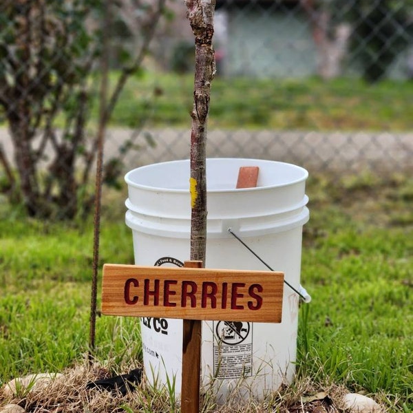 CHERRIES Rustic Tree Sign, Hand Routed, Garden Marker, Fruit Signage ...