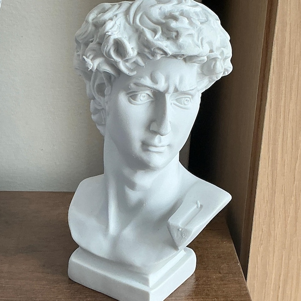 28cm, 24cm White David Statue Vase - Etsy