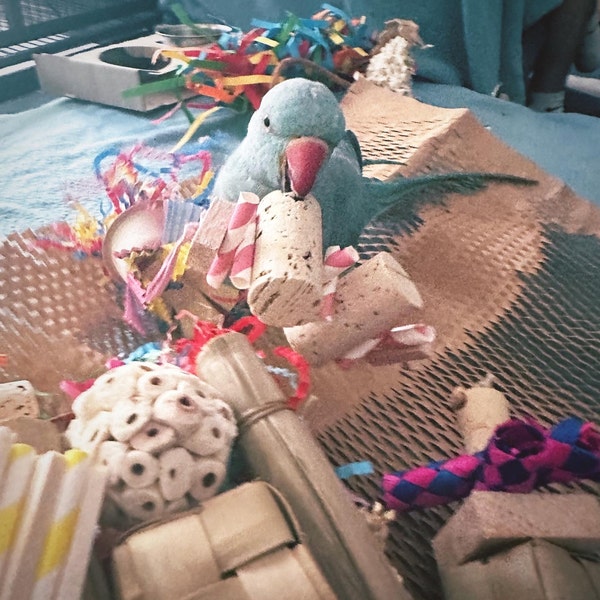 Sola Ball Fun - Hand Made Toys for Small to Medium Pet Birds Using Safe ...