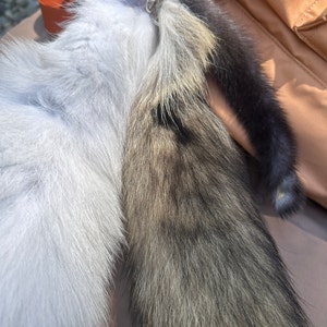 Coyote Pelt Fur Mantle With Black Deerskin - Etsy