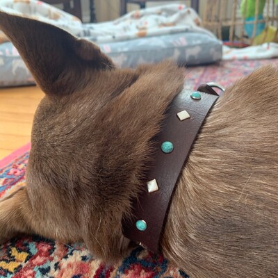 Sundance Shearling Dog Jacket so Boho Chic in Black - Etsy