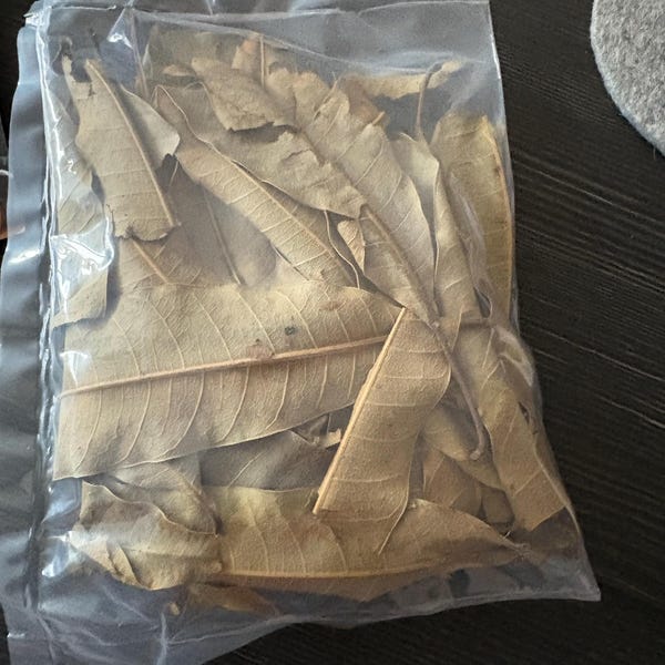 Jujube Leaves, Sidr Leaves, 2KG BULK Ziziphus Spinachristi, Organic ...