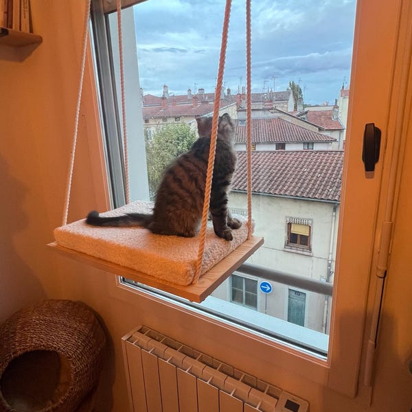 Cat Window Perch, Cat Hammock, Cat Window Bed, Wood Cat Shelves ...