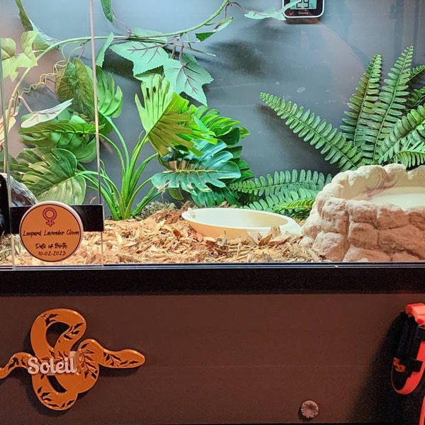 Burrow Buddy Snake Hide MINI - Etsy