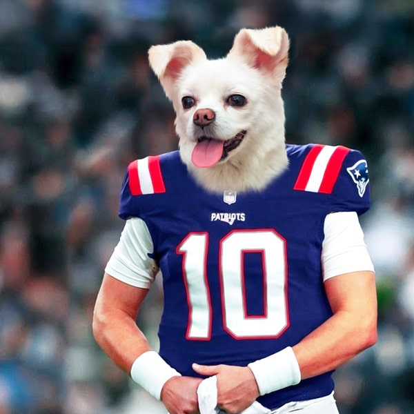 Personalised Dinosaur Themed Character for Boys and Girls, Custom Dino ...