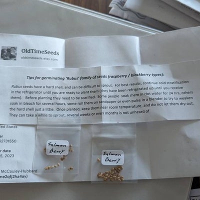 Salal Berry / Gaultheria Shallon 30 Seeds - Etsy