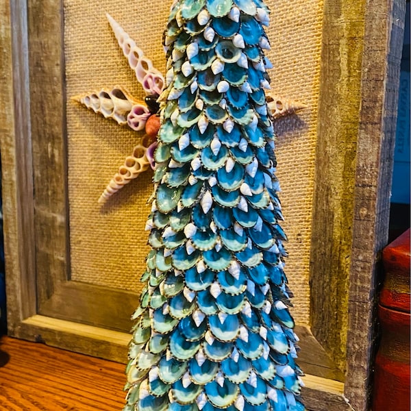 Large Blue Limpet Seashells, Beach Decor, Nautical Shell, Beach Wedding ...