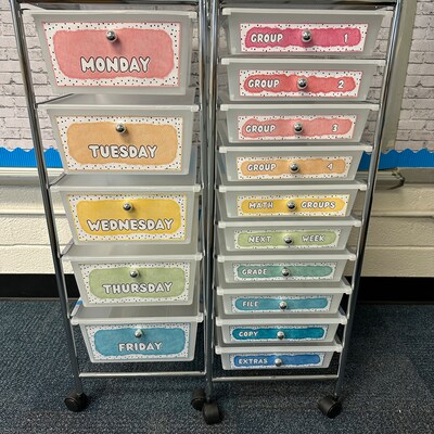 PLANTS & FOLIAGE Birthday Display, Celebration Classroom Display, Boho ...