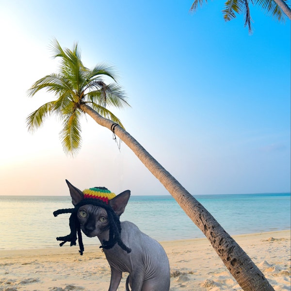 Rasta Hat for Cats - Etsy