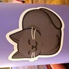 Siamese Cat Loaf Sticker; Waterproof Dishwasher Safe Matte Vinyl ...