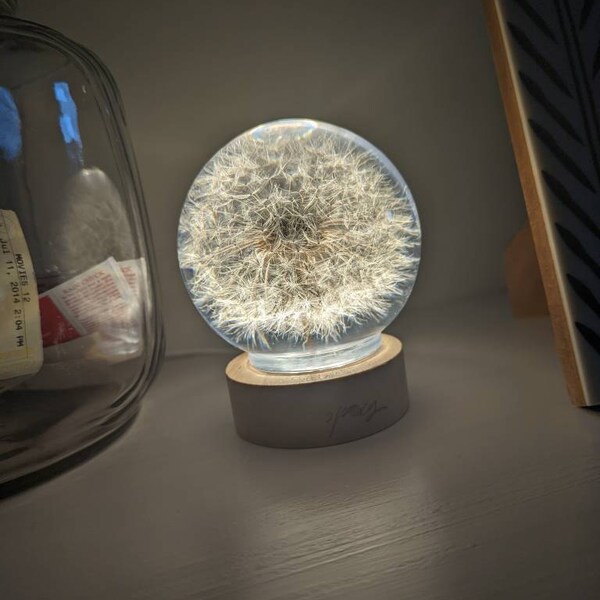 Dandelion Night Light, Real Dandelion Puff Paperweight, Flower Epoxy ...