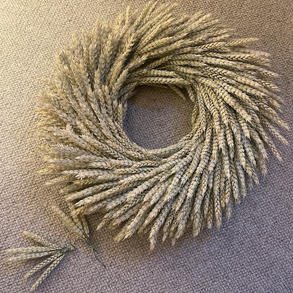 Contorted Willow, Natural Corylus, Twisted Hazel 60cm. - Etsy UK