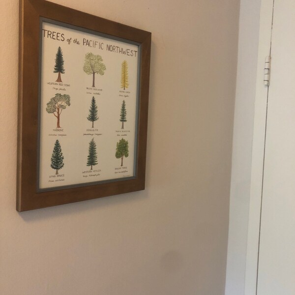 Pacific Northwest Trees Art Print / Washington State Art / Trees Art ...
