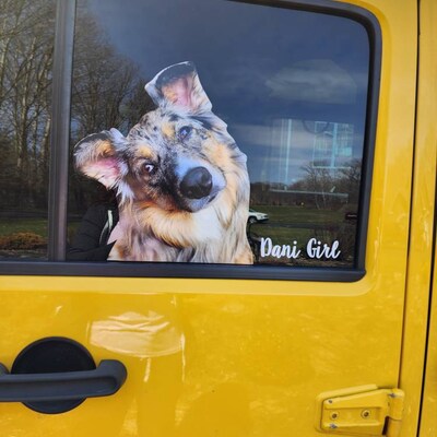 Custom Pet Sticker, Die-cut Dog Decals for Car, Cat Laptop Stickers ...