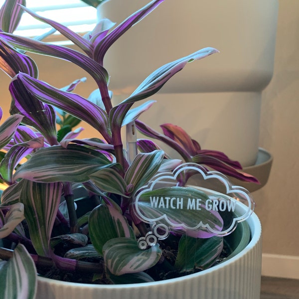 Set of 2 Plant Tags, Acrylic Plant Tags, Custom Plant Tags, Plant ...