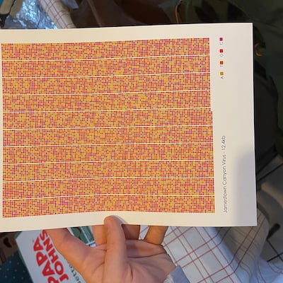 Insulin INS Gene Sequence Print Diabetes DNA Poster Scientist Gift ...