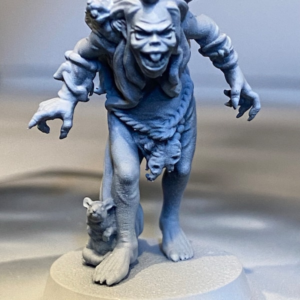 Hags 3D Printed Resin Miniature | Tabletop Role Playing | Dungeons and ...