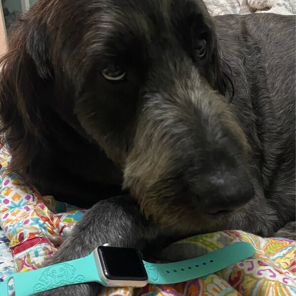 Custom/personalized Name and Peeking Dog Breed Engraved Watch Band ...