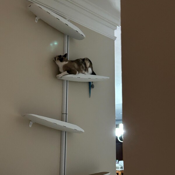 Cat Tree & Shelves for Wall. Custom Cat Wall That Combines A Six-foot ...