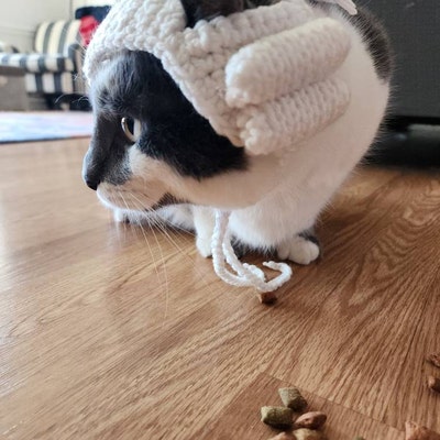 Powdered Wig, Hats for Cats, Barristers Wig, Judge Wig, Pet Costumes ...