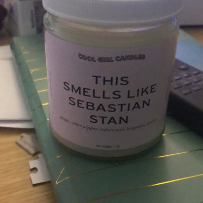 This Smells Like Sebastian Stan Candle Pop Culture Candles Celebrity ...