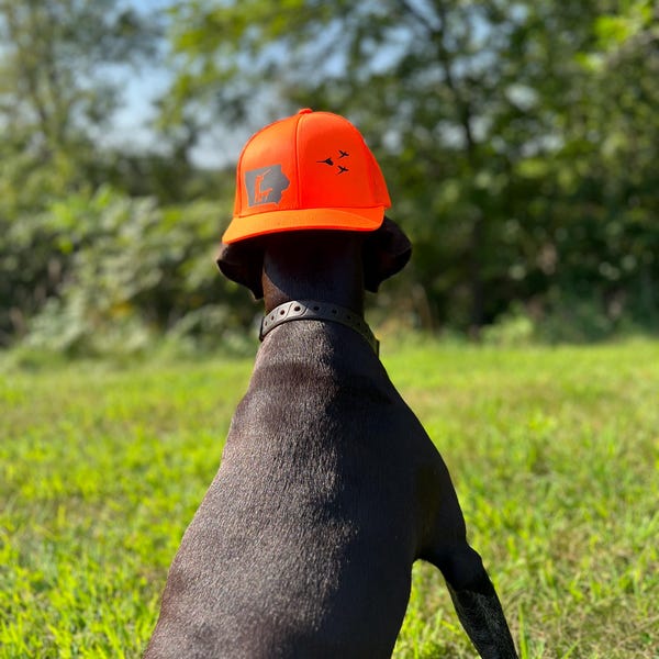 State Pheasant/buck/walleye Snap Back Adjustable Hat Hunting and ...