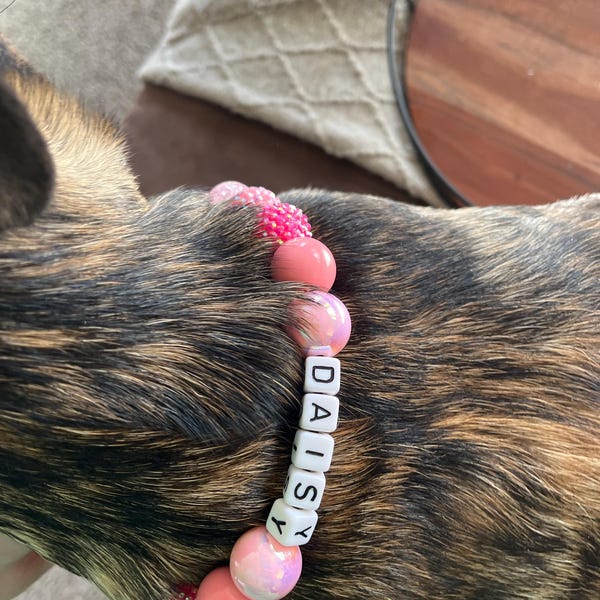Island Punch Bead Dog Collar With Name, Colorful Pastel Glam Pearl Dog ...