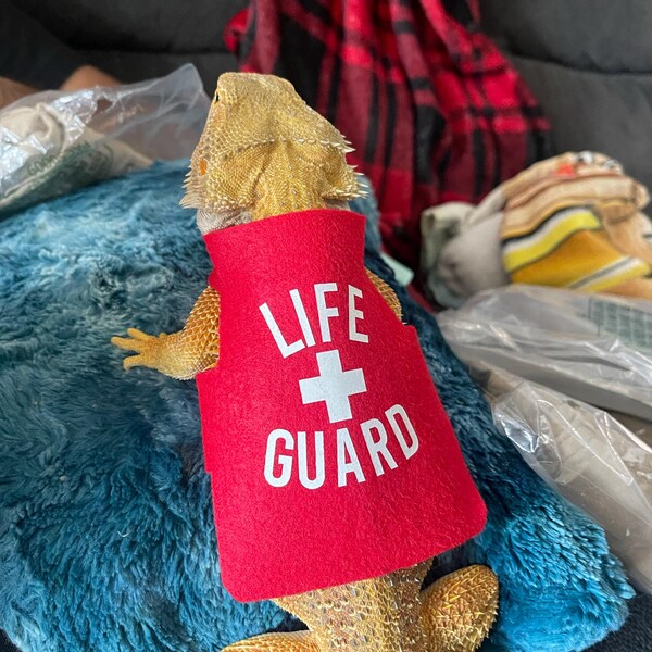 Bearded Dragon Candy Corn Costume Sweater, Halloween Lizard Sweater ...