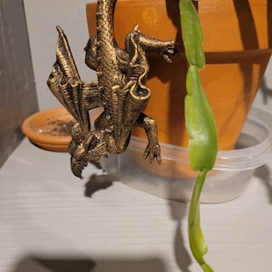 Peter Rabbit Pot Buddy Beatrix Potter Peter Rabbit Pot - Etsy