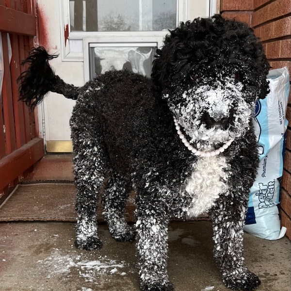 Farm Animal String Art // Horse Art // Pig Art // Sheep Art // Cow Art ...