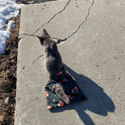 Custom Heavy Duty or Outdoor Drag Bag for Disabled - Etsy