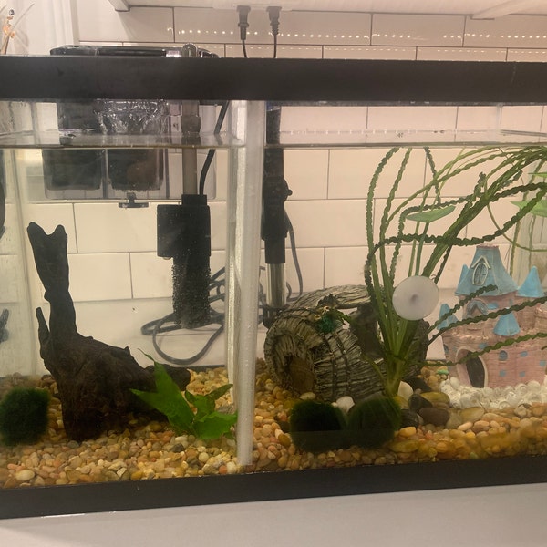 10 Gallon Aquarium Divider: 3D Printed Tank Separator - Etsy