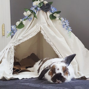 Peeking Cute Vinyl Bunny Sticker Rabbit Car Decal / Laptop | Etsy