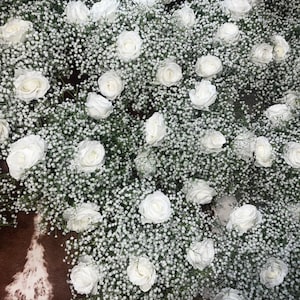 White Rose Flower Arch Flower Garland Flower Wedding Backdrop Flower ...