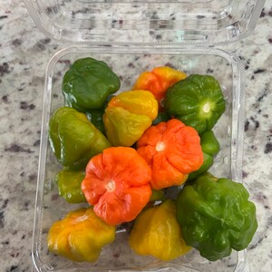 Aji Cachucha Cachucha Pepper Sweet Pepper Sweet Aji. Pintón - Etsy