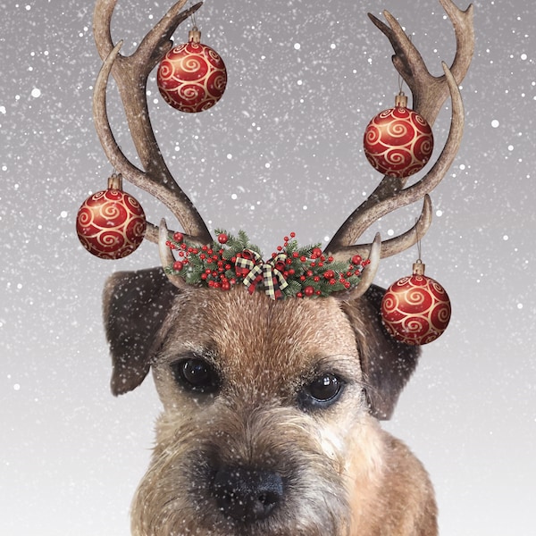 My Pet Reindeer, Pet Portrait From Photo, Digital Christmas Portrait ...