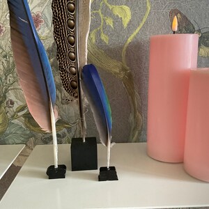 Majestic Genuine Wedged Tailed Eagle Wing Feather Approved Licence ...