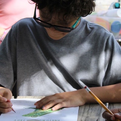 ANT Anatomy Poster, Labeling and Tracing Activity, Homeschool ...