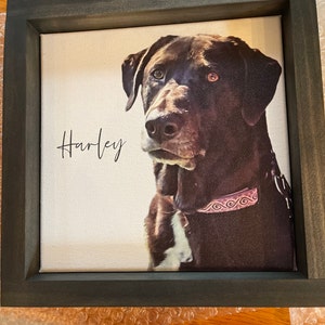 Virtual Tip Jar QR Code Custom Acrylic Tip Display - Etsy