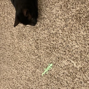 Kitty Lizard Articulated Cat Toy - Etsy