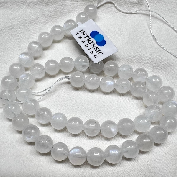 Dinosaur Coprolite Beads Dinosaur Dung Beads 4mm Round 6mm Round 8mm ...